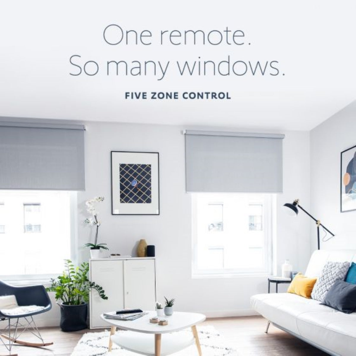 Situo 5 RTS (5 Channel) Remote Control - Pure #1870575A – Mega Mar USA